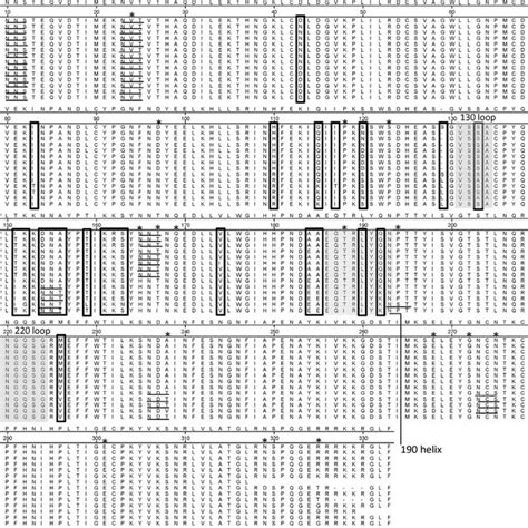 Amino Acid Sequence Alignment Of Ha1 Protein Of Representative H5n1