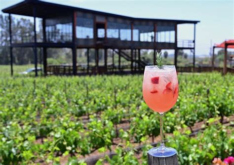Valle De Guadalupe Tours By Ensenada Excursions Qué Saber Antes De Ir