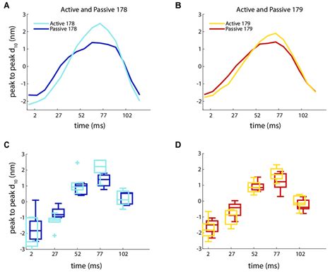 A And B Show The Mean Subtracted Active And Passive 10 Lattice Download Scientific Diagram