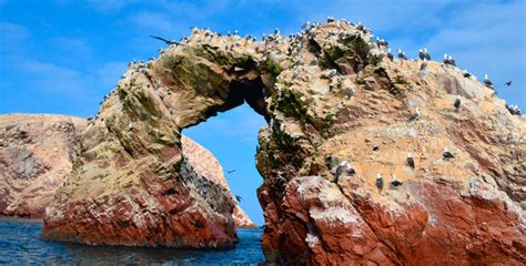 Reserva Nacional De Paracas Área Natural Del Perú