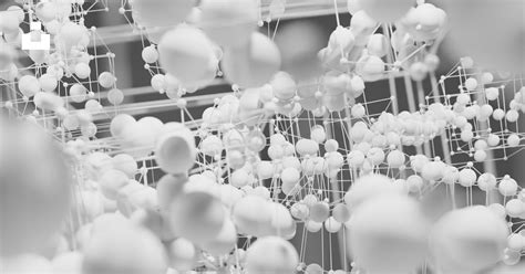 흰 꽃의 클로즈업 사진 Unsplash의 무료 회색 이미지