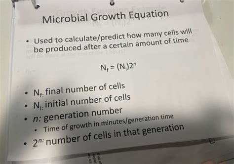 Bio 251 Summer Unit 2 Part 3 Flashcards Quizlet