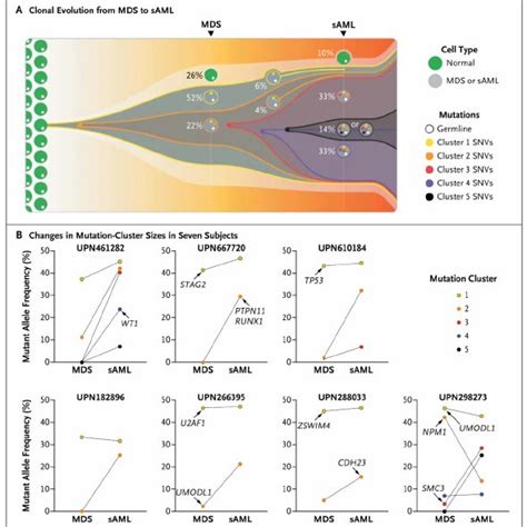 Clonal Progression From Myelodysplastic Syndrome Mds To Secondary
