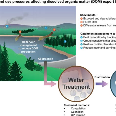 Schematic Showing Anthropogenic Pressures On Peatland Catchments And