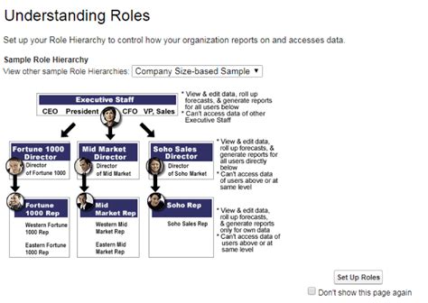 Understanding Roles In Salesforce Appseconnect