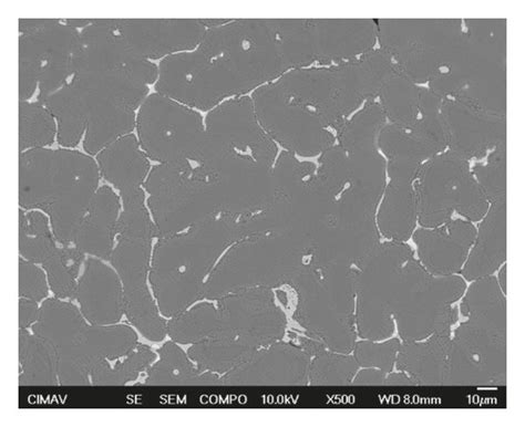 sem micrographs showing the microstructure of samples in as cast