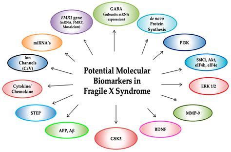 Fragile X Syndrome Screening Quotes Home