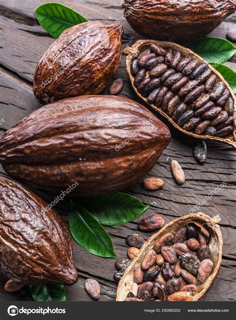 Inside Cocoa Pods