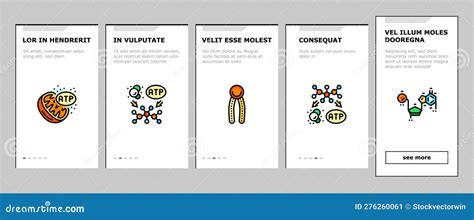Biotechnology Chemistry Science Onboarding Icons Set Vector Stock