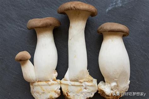 買杏鮑菇，只挑大的就錯了！內行都看這3處，個個肥厚新鮮，實用 每日頭條