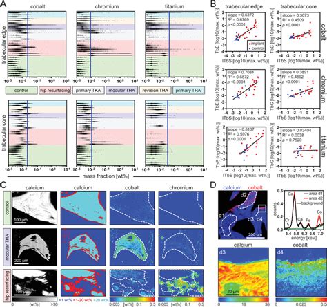 Distributions Of The Spatial Mass Fractions Of Co Cr And Ti Obtained Download High