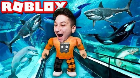ყველა თევზი ვიყიდე Aquarium Tycoon Roblox Youtube