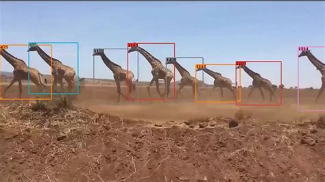 Adam Szummer On Linkedin Computervision Multiobjecttracking Machinelearning Metriclearning