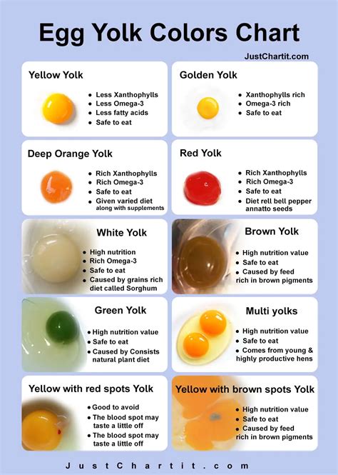 Best Egg Yolk Color