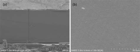 Back Surface Morphology And Thickness After CMP Treatment Download Scientific Diagram