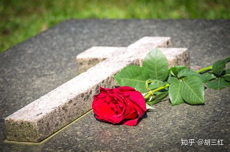“我们终将死去”——欠孩子的一堂死亡教育课 知乎