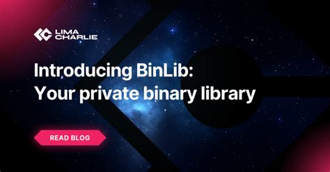 Introducing Binlib Your Private Binary Library —