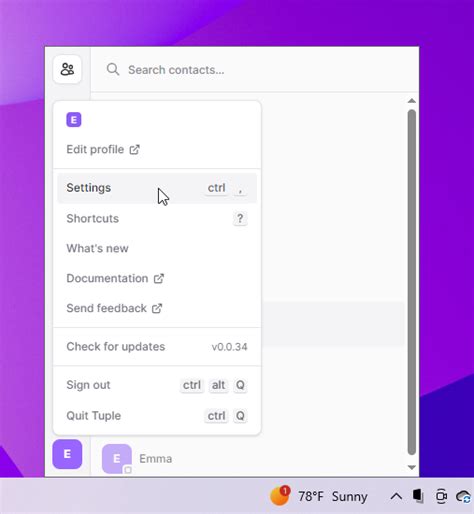 [windows] preferences audio tuple documentation