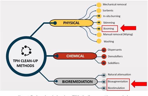 Biostimulation And Bioaugmentation