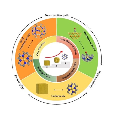 Fcse 综述：单原子催化——精确控制反应路径新方法—论文—科学网