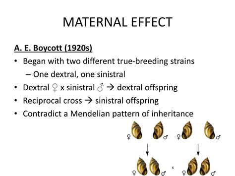 Ppt Non Mendelian Inheritance Powerpoint Presentation Free Download