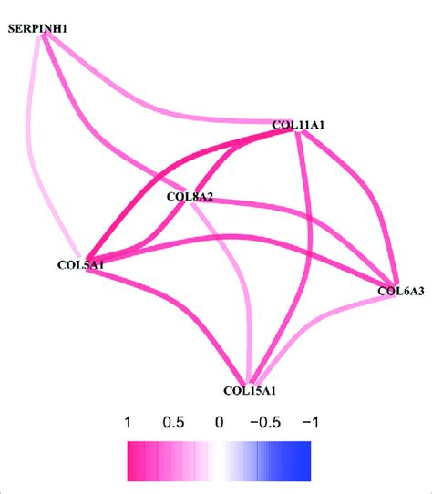 The Correlation Network Of Six Hub Genes The Red Line Represents A Download Scientific Diagram