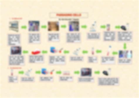 Solution Flowchart Studypool