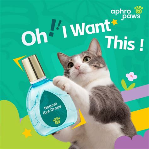 Queenie Li On Linkedin Whats So Special About Aphro Paws Natural Eye