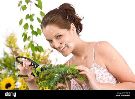 Gardening Woman Cutting Tree With Shears Stock Photo Alamy