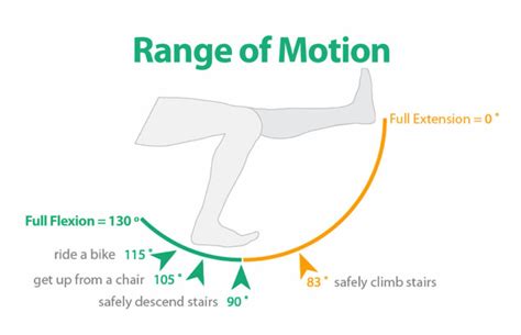 What Is Considered Full Range Of Motion For Knee At Benjamin Ferguson Blog