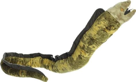 Large Eco Friendly Textured Plush Moray Eel