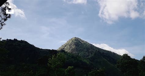 나무와 푸른 하늘이있는 산 사진 Unsplash의 무료 센트럴 자바 이미지