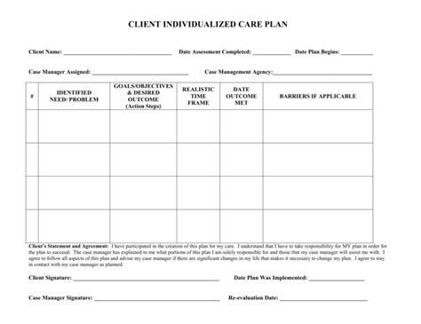 Client Individualized Care Plan Template
