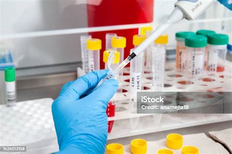 핵염과 형광을 위한 혈액 샘플을 층류 캐비닛에서 계내 혼성화하여 준비하는 과학자 진단을위한 혈액 샘플 준비 혈액 검사 Dna에 대한 스톡 사진 및 기타 이미지 Istock