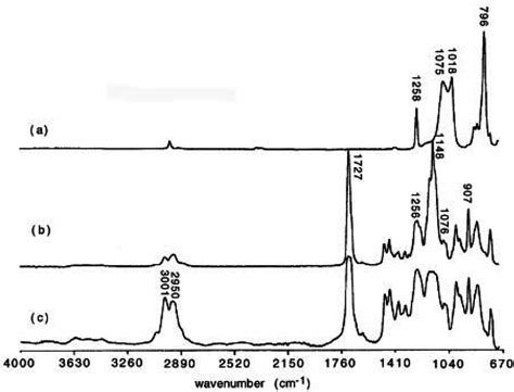 Ir Spectrum Of Silicone Oil At Douglas Hairston Blog