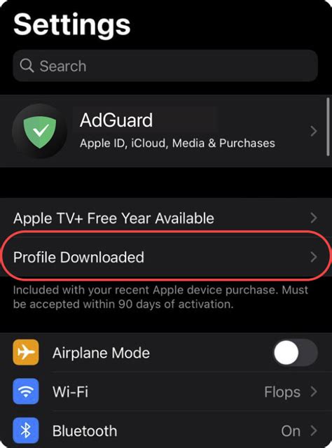 Connect To Public AdGuard DNS Server