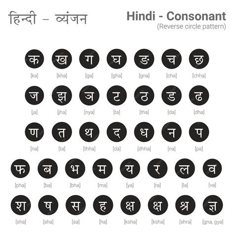 Hindi Consonants Vyanjan 2023 Vector Adobe Illustrator Premium Vector