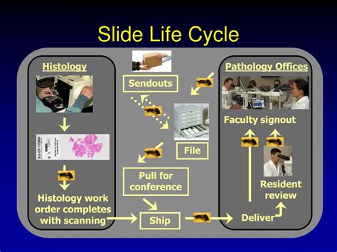 PPT Bar Coding In AP OmniTrax As A Full Middleware Solution PowerPoint Presentation ID