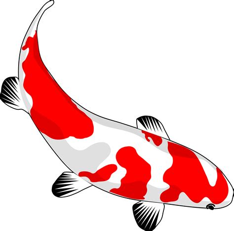 Clipart Koi