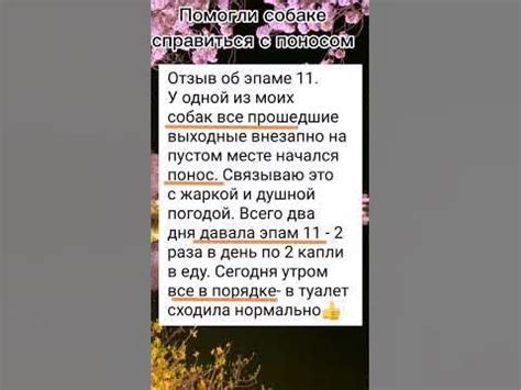 Эпам 11 желудочно-кишечный - YouTube