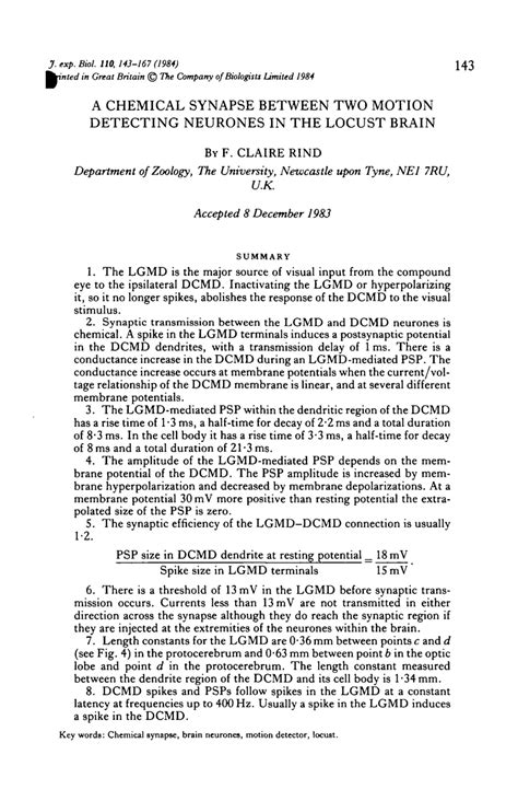 Pdf A Chemical Synapse Between Two Motion Detecting Neurones In The