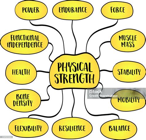 Physical Strength Is The Ability Of Your Muscles To Exert Force Against Resistance Enabling You