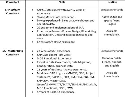 Netherlands Based Sap Experts Energize Group I Am Pleased To Introduce Highly Proficient Sap