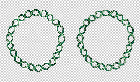 Plasmids Vector Scientific Illustration