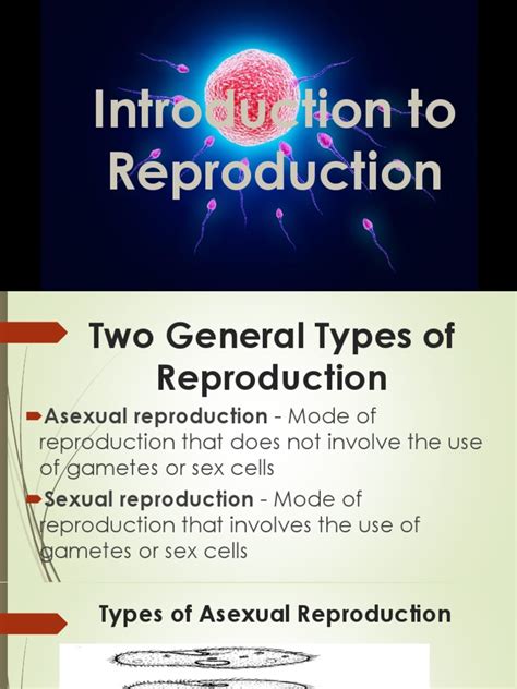 Introduction To Reproduction Pdf Sexual Reproduction Fertilisation