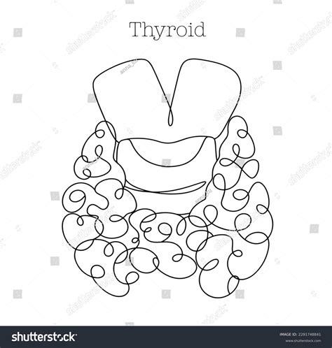 50 Continuous Line Drawing Thyroid Royalty Free Photos And Stock Images