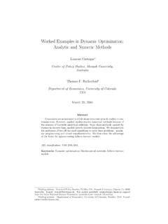 Worked Examples In Dynamic Optimization Analytic And Worked