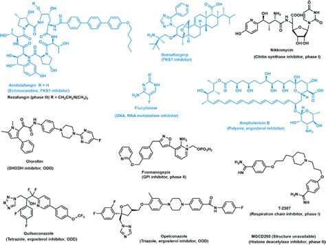 Clinically Approved Antifungal Agents And Experimental Antifungal Download Scientific Diagram