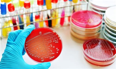 Microbiological Analysis Of Water And Wastewater Laboratory In India