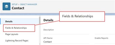 Salesforce Case Sensitivity For Text Field Type
